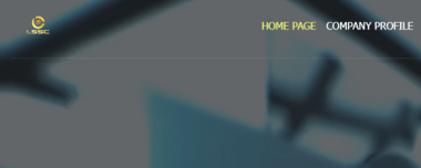 Lssc.ltd Review - Scam or Legit? - InvestReviews