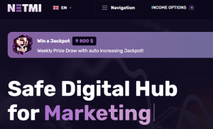 Netmi Review - Netmi.org Unable To Withdraw? - InvestReviews